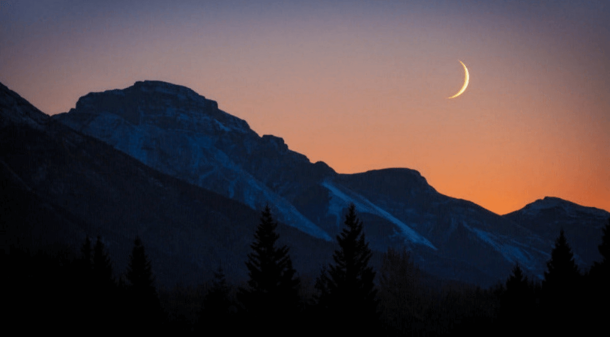 Gaia Herbs Horoscopes - Cancer New Moon