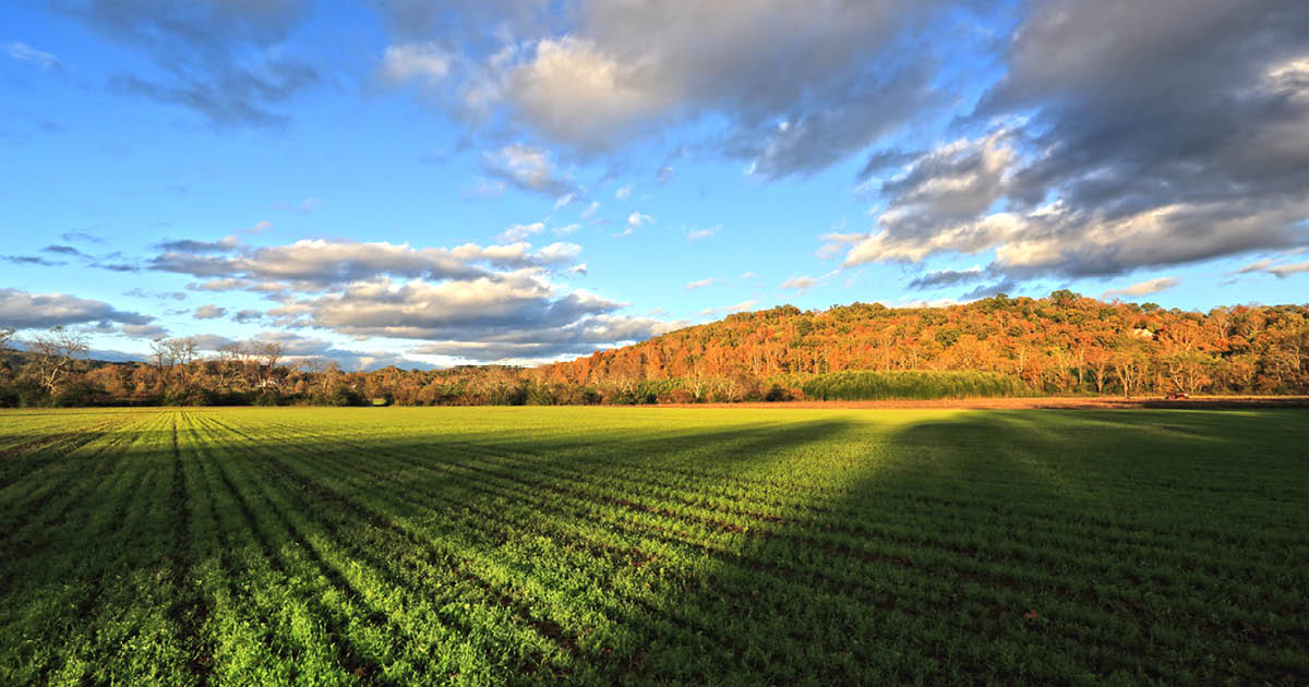 Nature Summer To Fall Transition