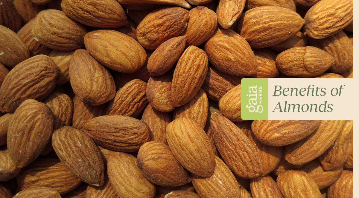 World Map Domestication Of Almond