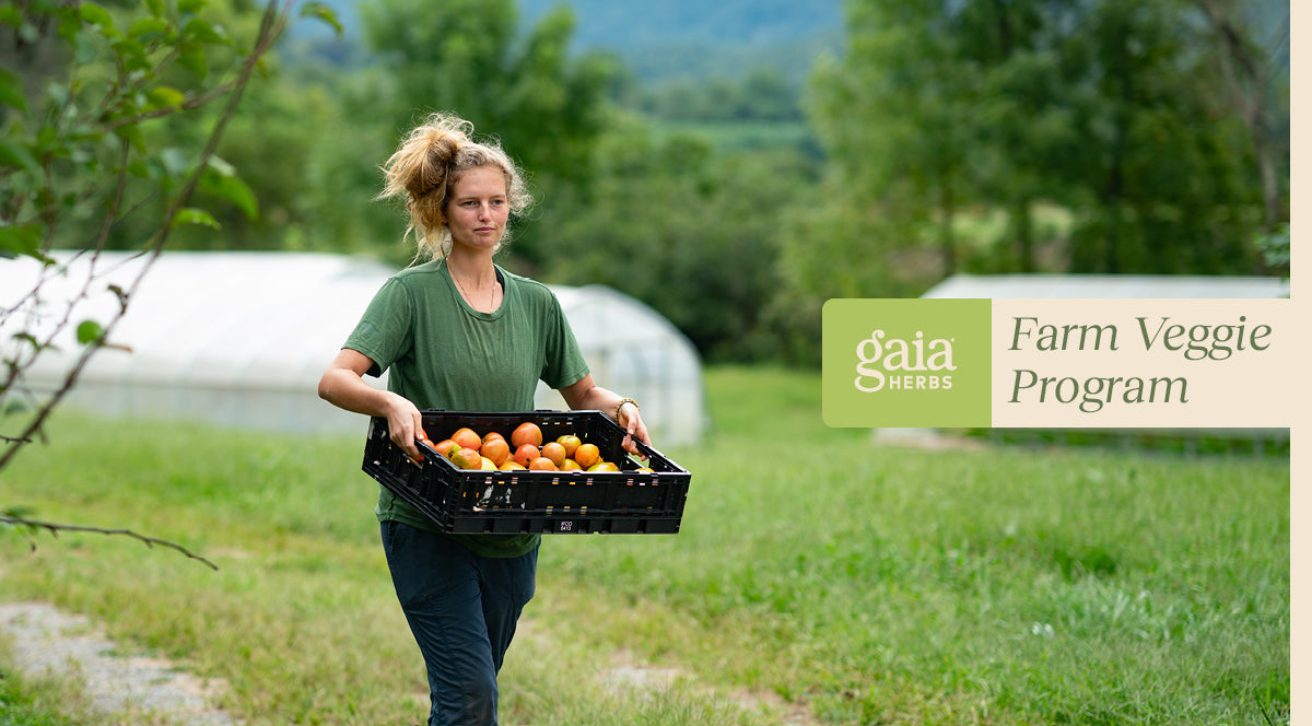 Our Vegetable Program: Free Vegetables All Season Long For Employees: Gaia Herbs®