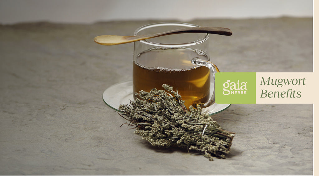 The Benefits of Mugwort: Gaia Herbs®