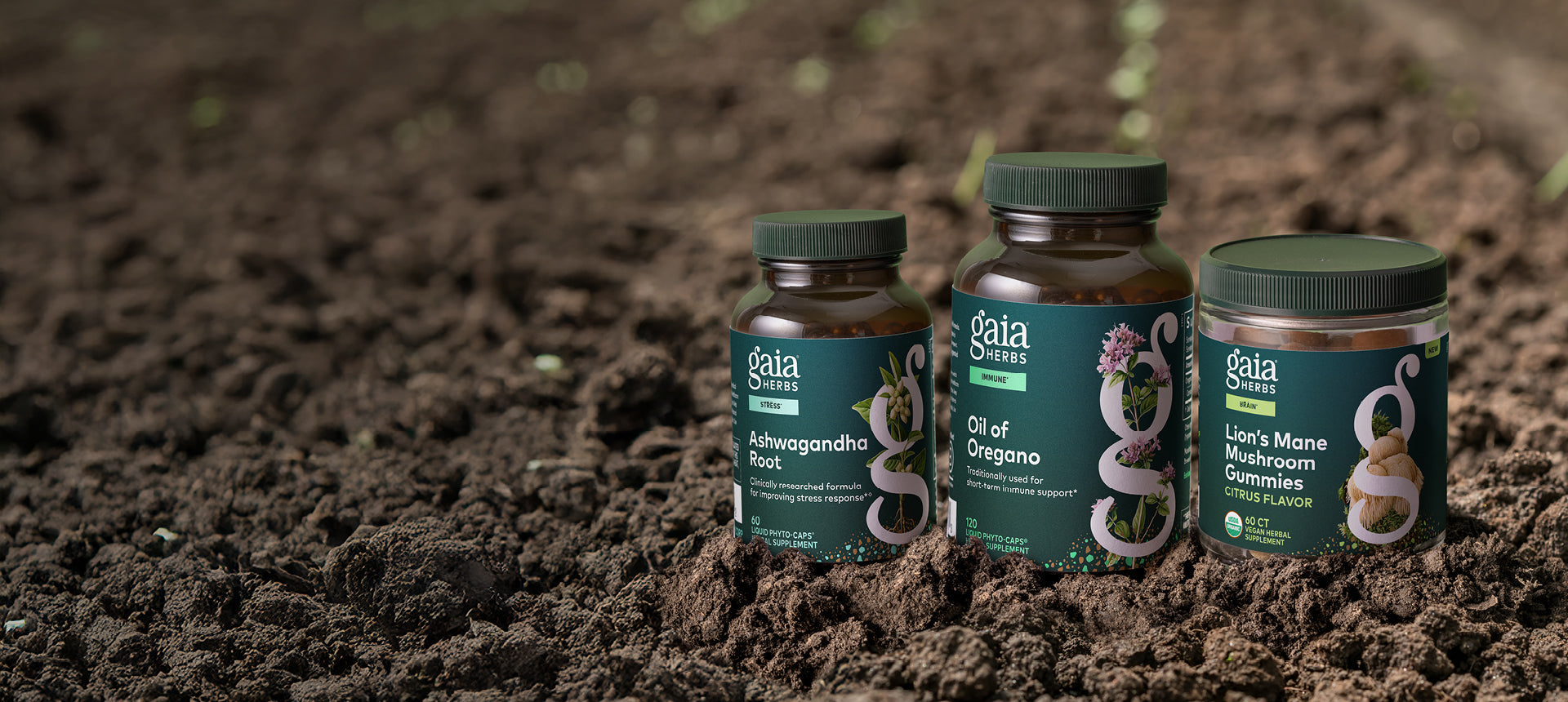 New Look, Same Quality