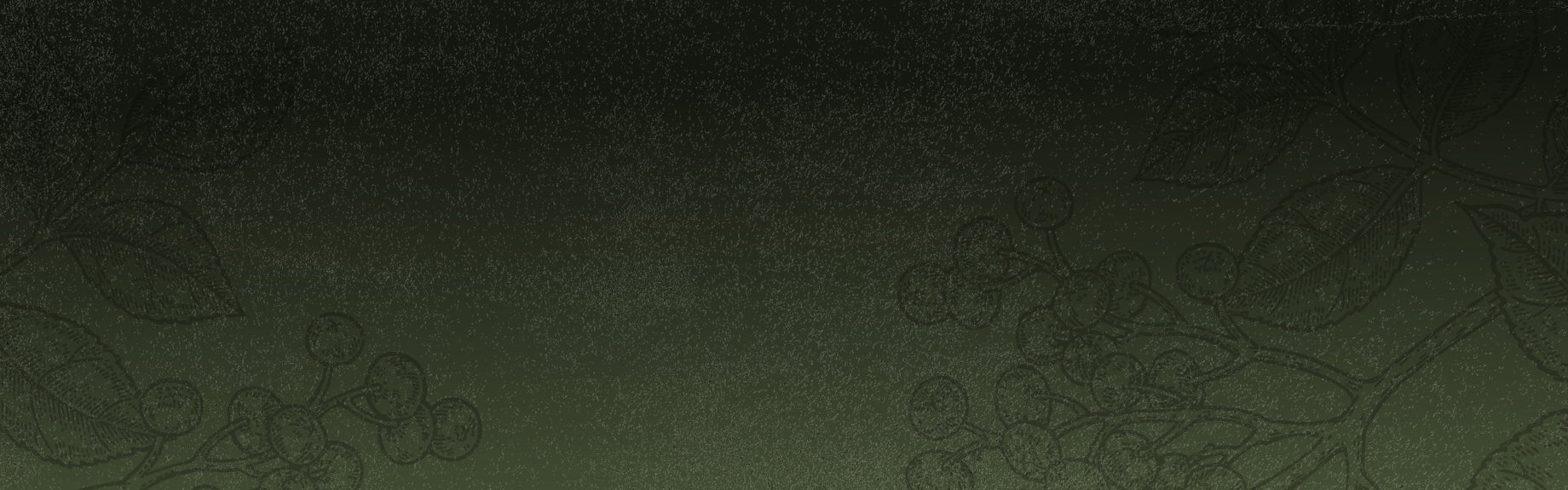 New Arrivals Collection