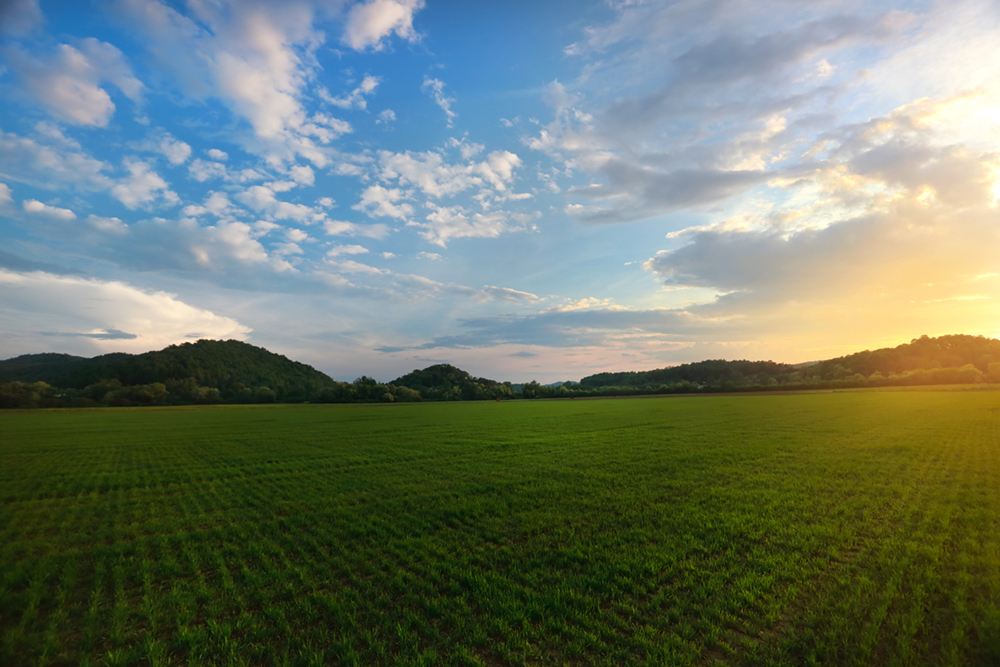 Gaia Herbs Herbal Supplements - Full Product List