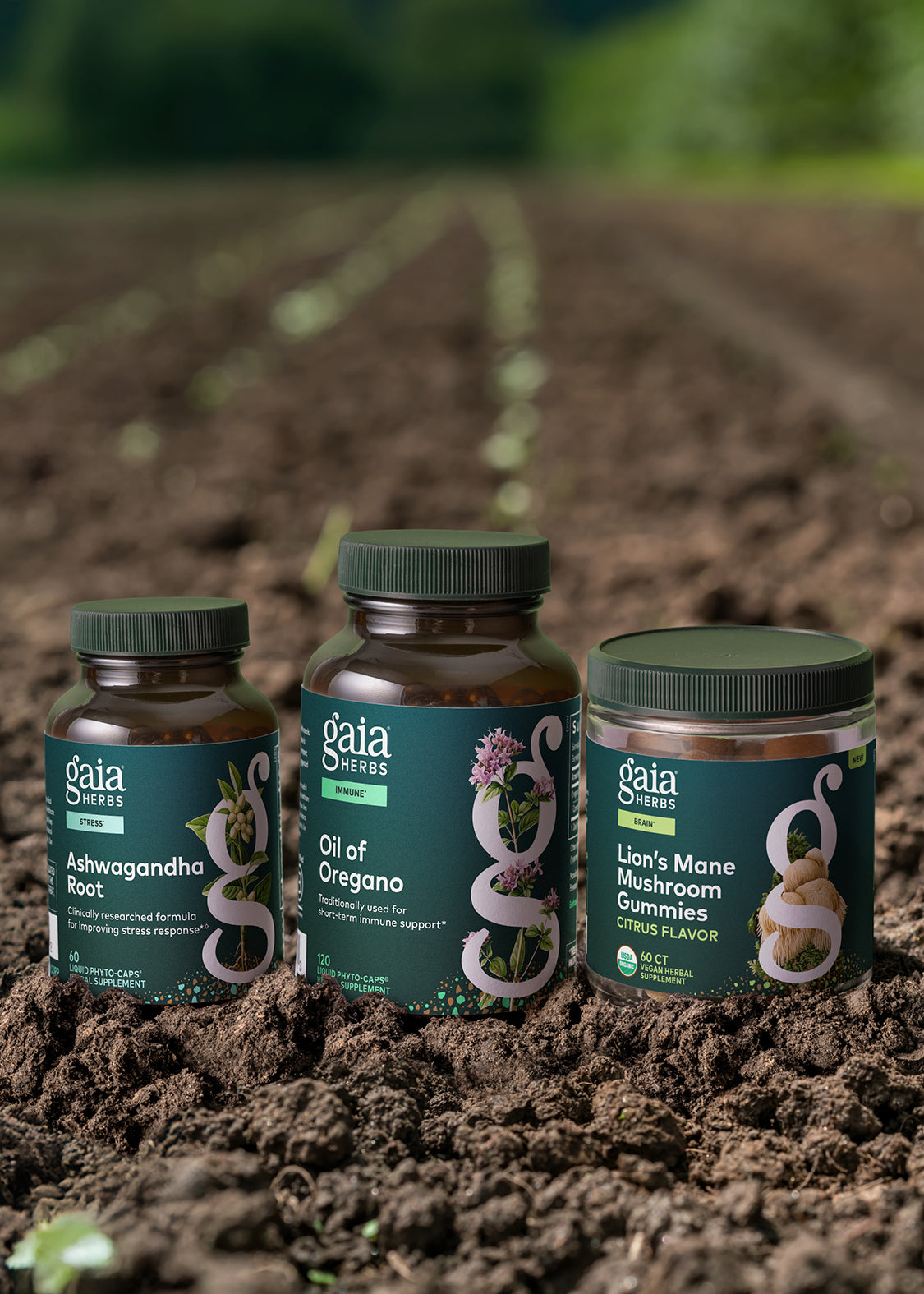 New Look, Same Quality