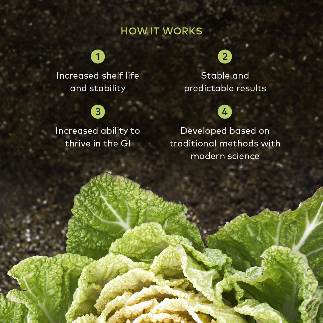 Kimchi Postbiotics: Fermented Gut Microbiome Supplement: Gaia Herbs®