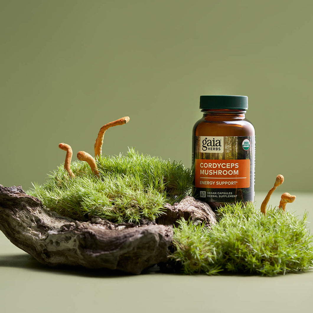 Cordyceps Mushroom Supplement for Adaptogenic Support | Gaia Herbs ...