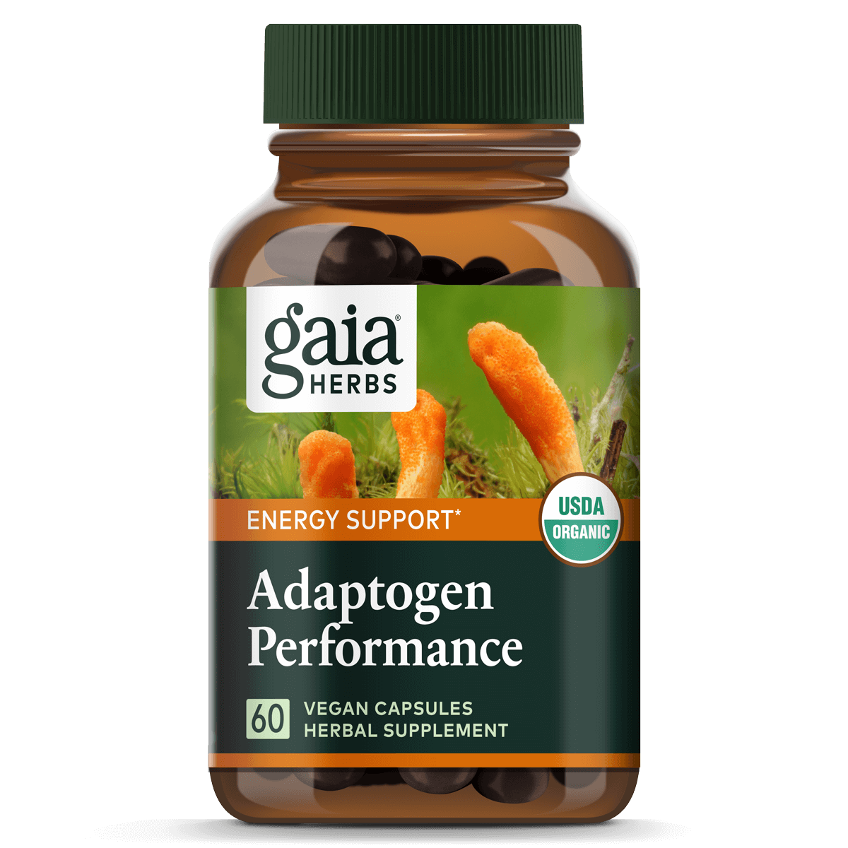 Adaptogen Mushroom Supplements for Energy Support
