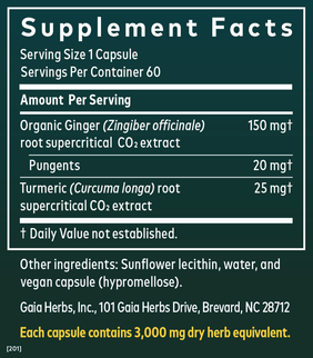 Ginger Root Supplements for Digestion Support