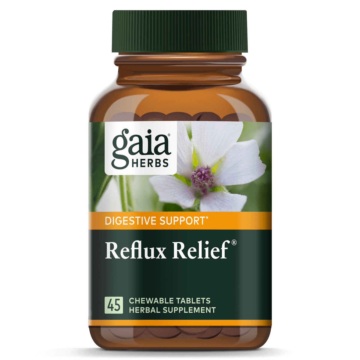 Acid Reflux & Indigestion Relief Tablets: Digestive Support: Gaia Herbs®